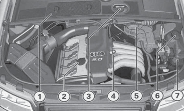 Car maintenance Audi A4, modification B7 (2004-2008) [General information]