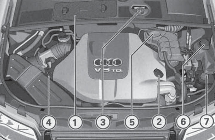 Routine vehicle maintenance specifications (Audi A4 B7, 2004-2008 ...