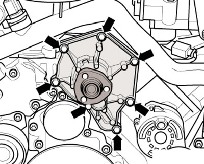 Removal and installation the water pump (Audi A4 B7, 2004-2008 / Power ...
